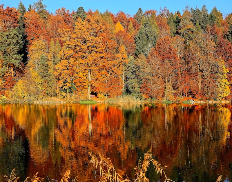 Autumn Around The World: 10 Top Spots with Gorgeous Fall Foliage
