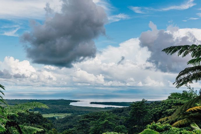 10 ways to explore the magical Daintree rainforest - KAYAK AU